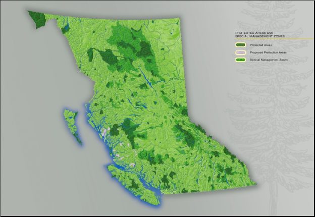 Where and How to Pick Mushrooms - Vancouver Mycological Society