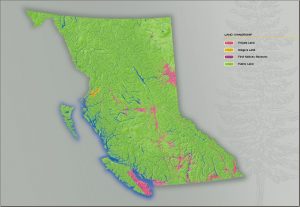 Where and How to Pick Mushrooms - Vancouver Mycological Society