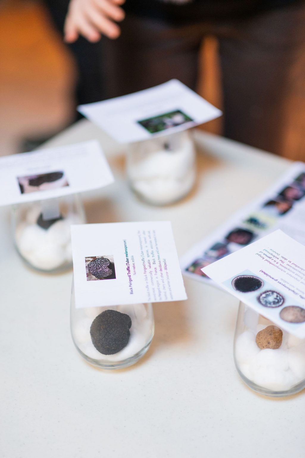 BC’s Truffle Industry: The Next Frontier is Underground - Vancouver ...